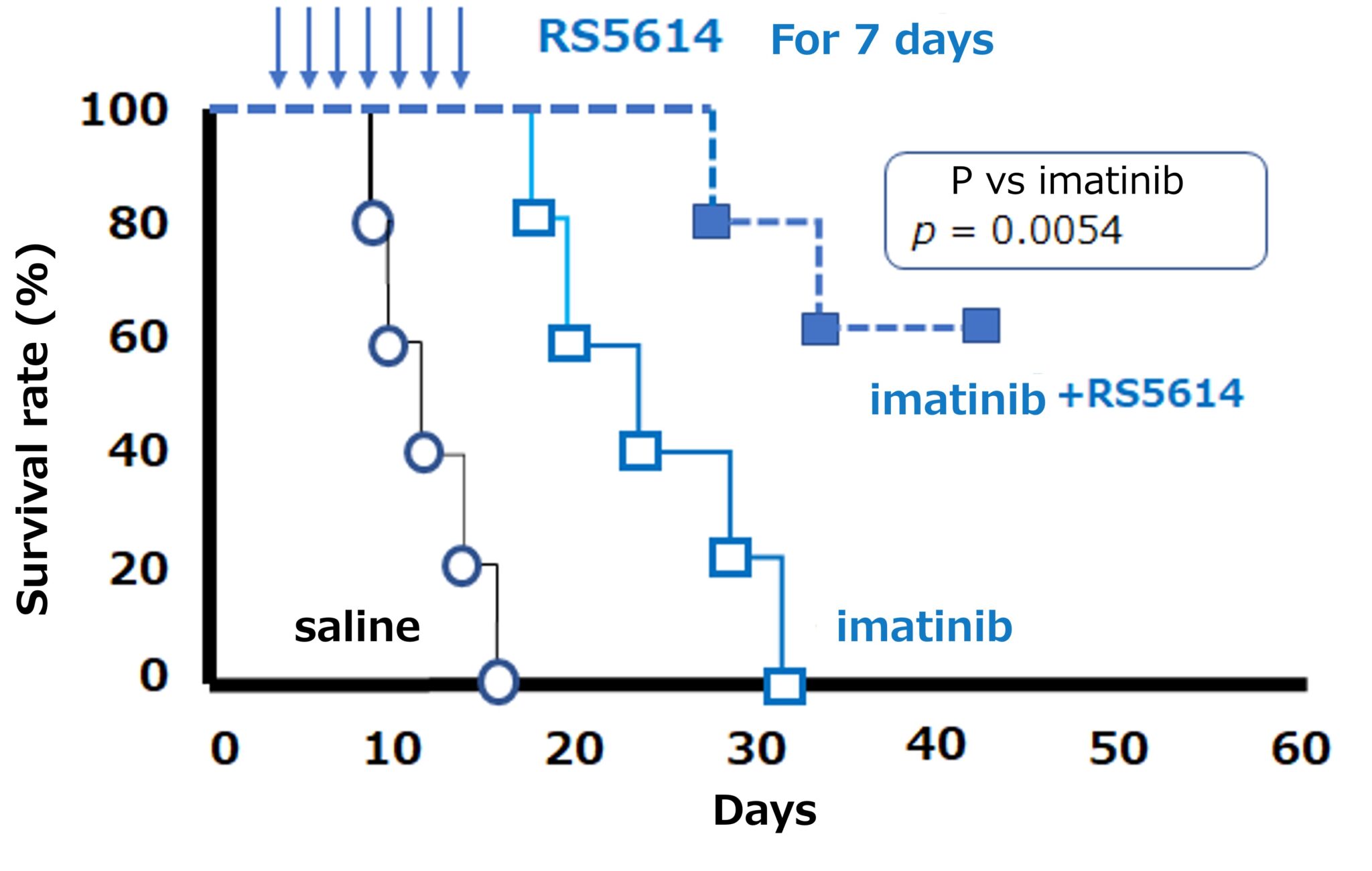 Hematological Cancer: Therapeutic for Chronic Myeloid Leukemia (CML ...