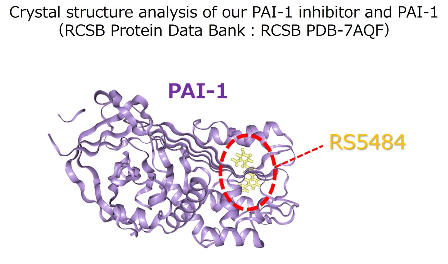 PAI-1 inhibitor: RS5614 | Renascience