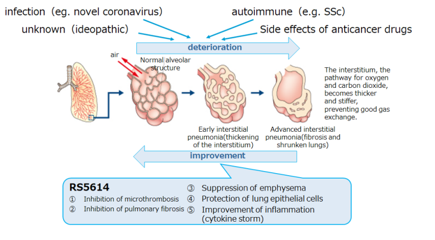 Notice of Publication of Article on Results of Late Phase II Study of ...